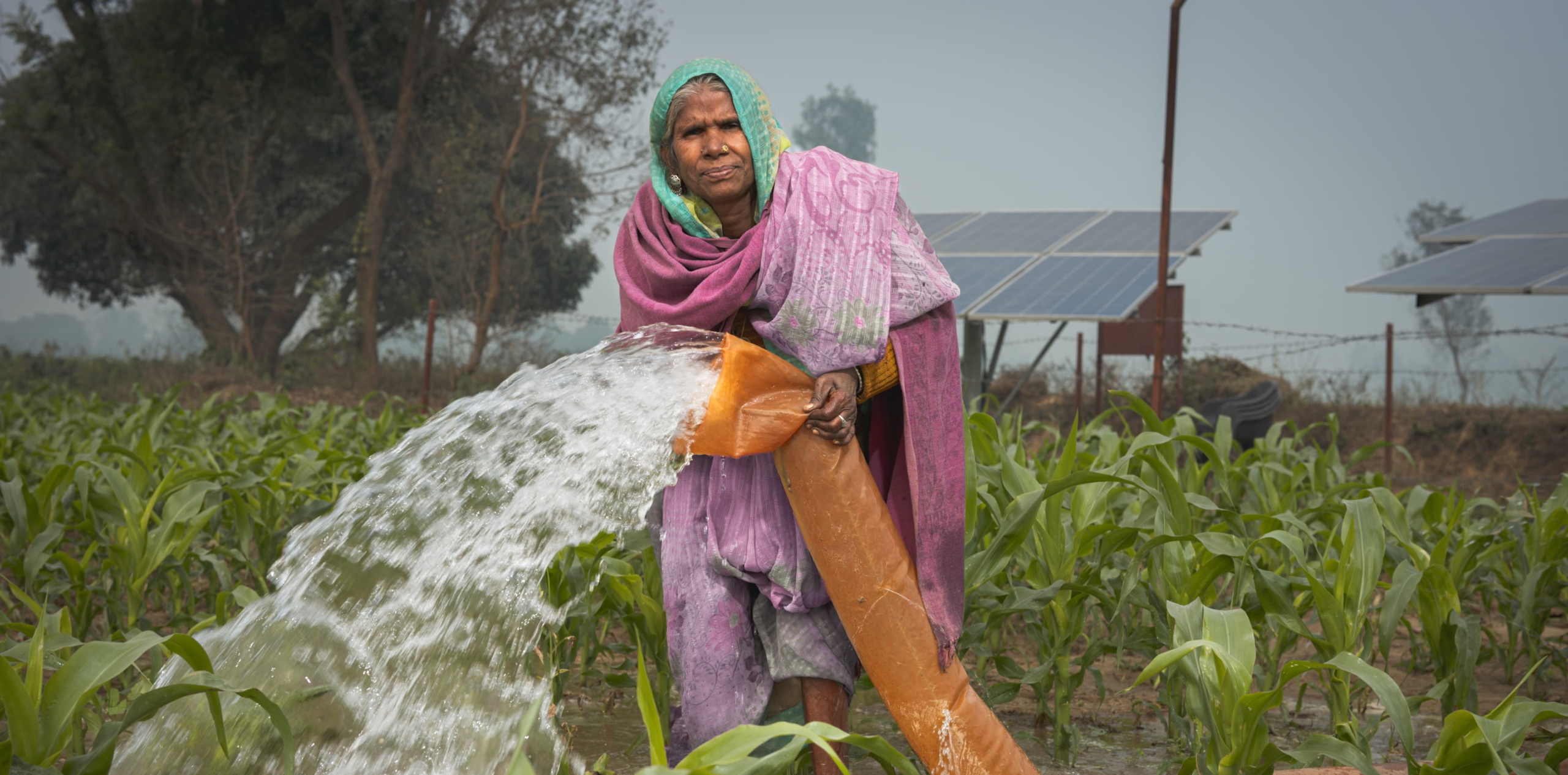 What Climate Change Looks Like Before It Becomes a Headline - Miller ...